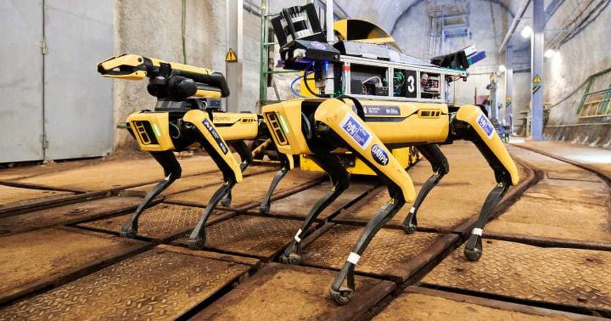 Perros robot cartografían los túneles subterráneos de Praga | Radio ...